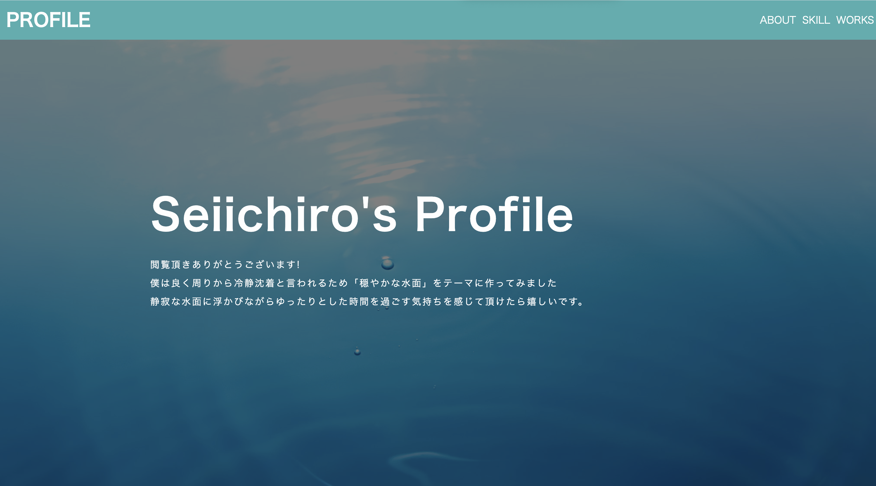 profile.seiichiro